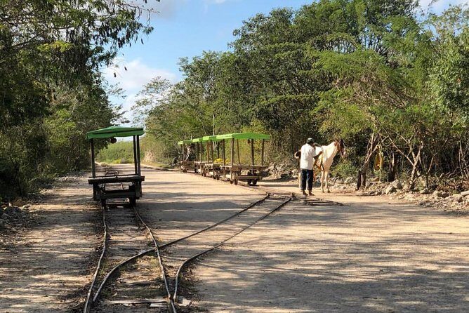Private Tour: Homun Cenotes Day Trip - Final Thoughts