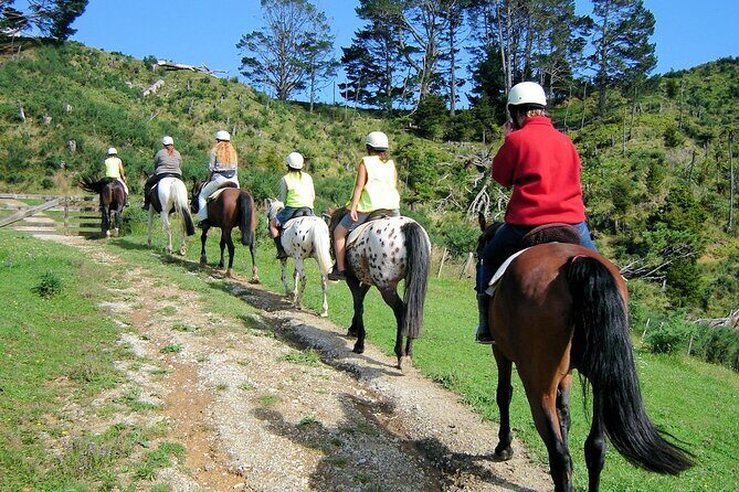 Private Tour - Horse Riding, Wine Tasting and Art Trail - Practical Considerations