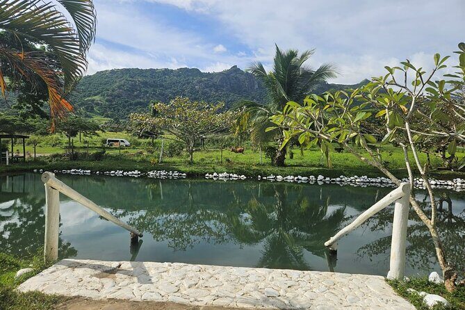 Private Tour: Hot spings & Sleeping Giant Garden hiking Adventure - Who Should Consider This Tour?