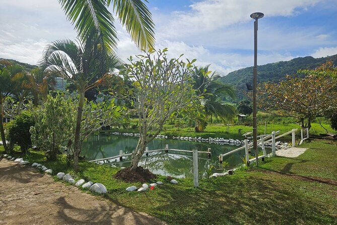 Private Tour: Hot spings & Sleeping Giant Garden hiking Adventure - The Sum Up