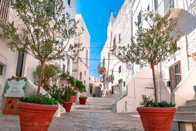 Private Tour in 3 Towns: Alberobello, Cisternino, Ostuni. - Accessibility and Practicalities