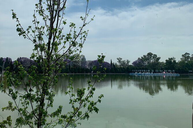 Private Tour in Chapultepec and Museum of Anthropology - FAQs