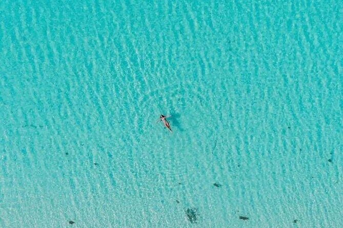 Private Tour in Cozumel El Cielo Sandbar and Reef Snorkeling - Final Thoughts