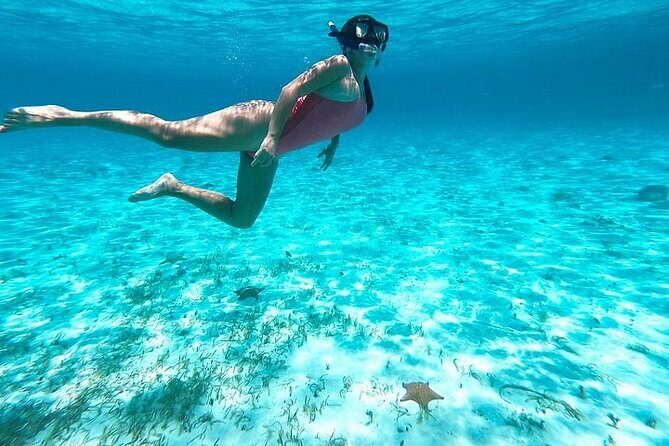 Private Tour in Cozumel El Cielo Sandbar and Reef Snorkeling - Frequently Asked Questions