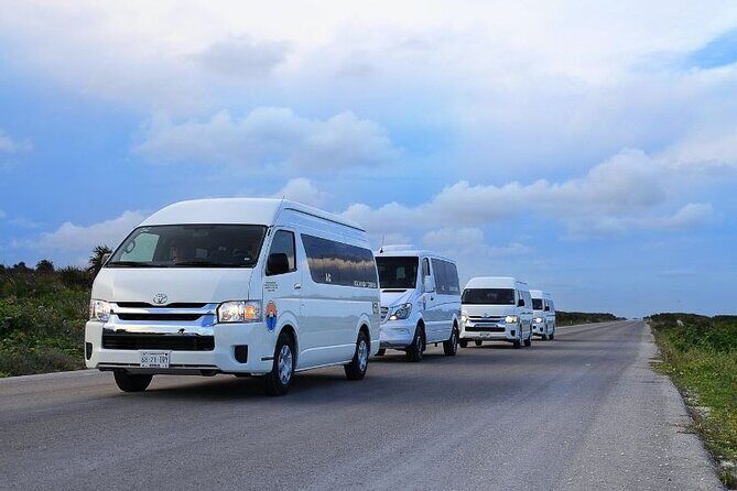 Private Tour in Cozumel in your own way Groups up to 14 People - Discover Cozumel on Your Terms: A Practical Guide to the Private Custom Tour