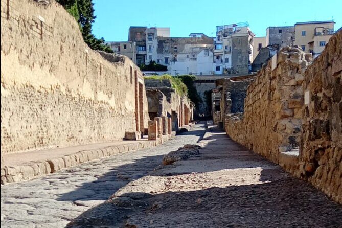 Private Tour in Herculaneum with an authorized guide - Why This Tour Will Appeal to You