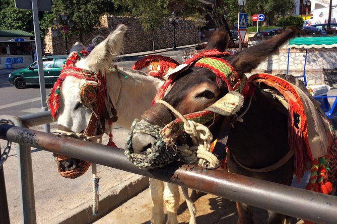 Private tour in Mijas with hotel or shore pickup on Costa del Sol - What We Learned from Reviews