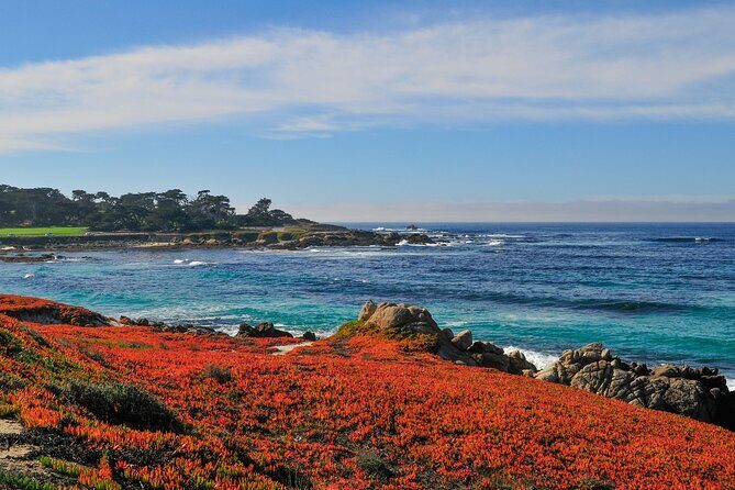 Private Tour in Monterey and Big Sur Discovery from San Jose - Final Summary