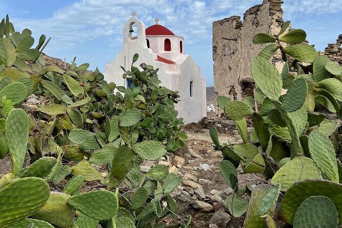 Private Tour in Mykonos Greece - Insights from Reviewers: What To Know Before Booking