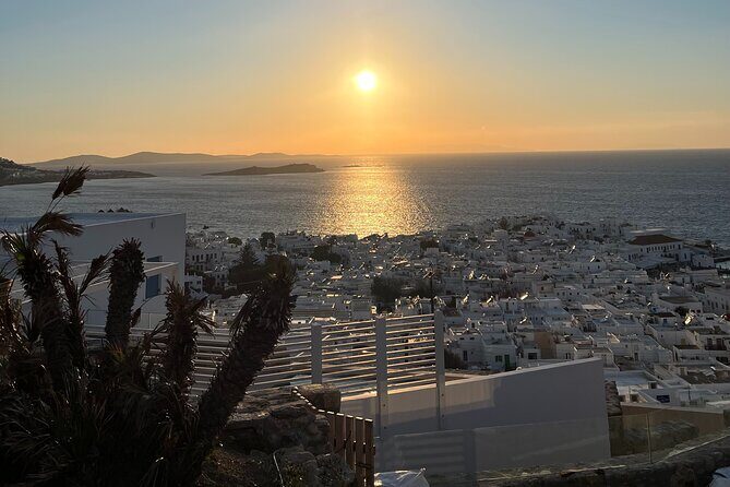 Private Tour in Mykonos Greece - Who Is This Tour Best For?