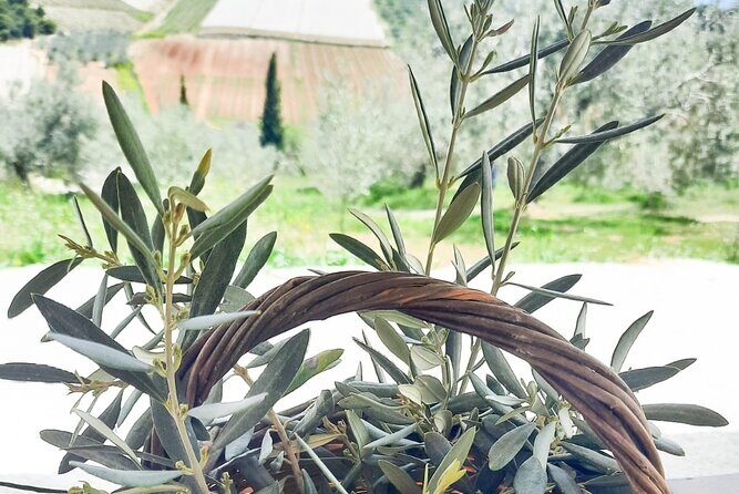 Private tour in Nafplio with Olive oil Tasting Tour in Corinth - Final Thoughts