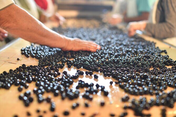 Private Tour in Saint-Emilion: Underground Monuments and Grands Crus Tasting - Timing and Pace