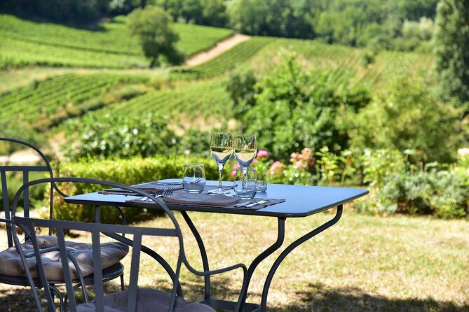 Private Tour in Saint-Emilion: Underground Monuments and Grands Crus Tasting - Final Thoughts