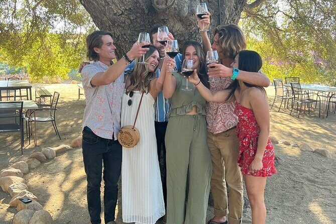 Private tour in Valle de Guadalupe - An In-Depth Look at the Valle de Guadalupe Private Tour