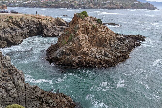 Private Tour in Valle De Guadalupe - Authentic Experiences and Review Insights