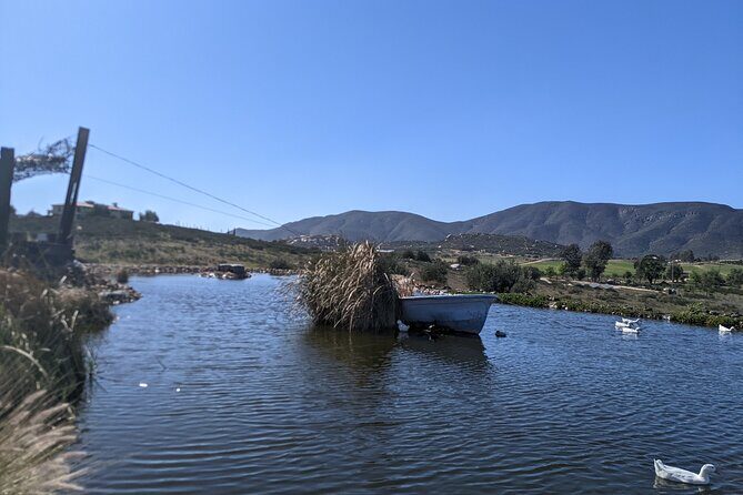 Private Tour in Valle De Guadalupe - Transportation: Comfort and Convenience