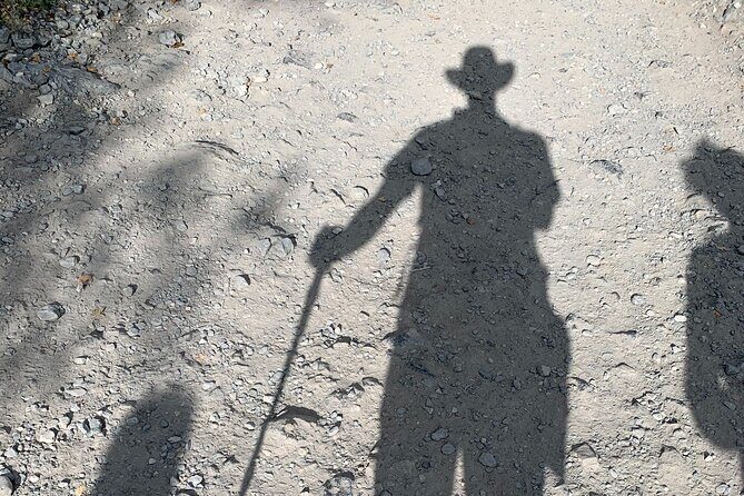 PRIVATE TOUR: Kananaskis Safari Drive and Guided Nature Walk 4H - Why the Kananaskis Safari and Nature Walk Stands Out