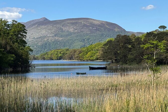 Private Tour Killarney National Park and Ladies View from Cork - Introduction