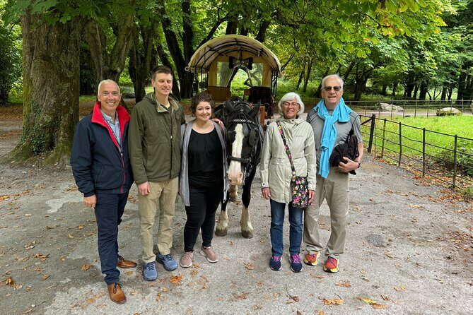 Private Tour Killarney National Park and Ladies View from Cork - Key Points
