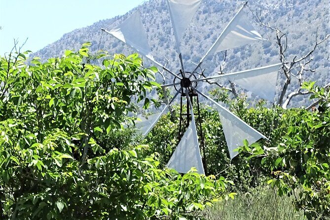 Private Tour-Knossos Palace Zeus Cave Olive Oil Mill & Wine - Practical Details and Value