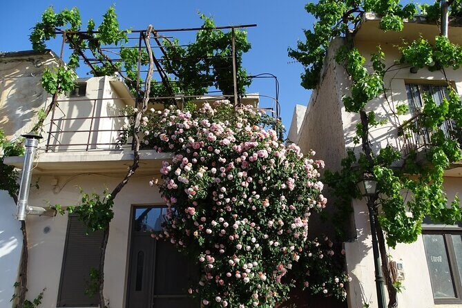 Private Tour-Knossos Palace Zeus Cave&Olive Oil Mill from Elounda - FAQ