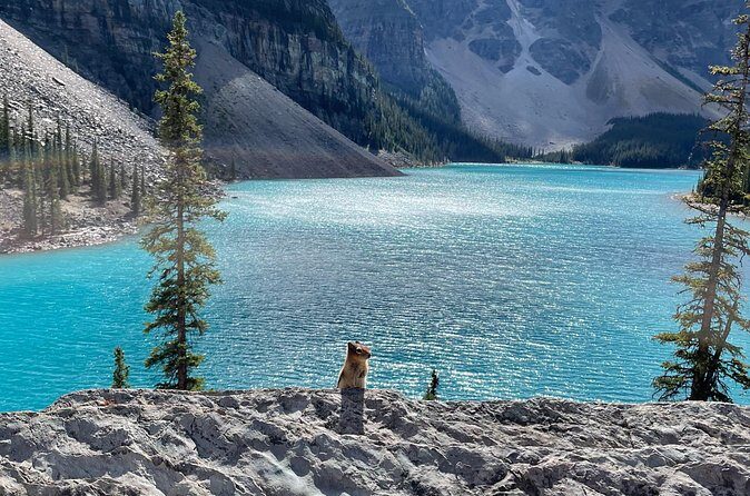 Private Tour Lake Louise & Moraine Lake - The Sum Up: Who Is This Tour Best For?