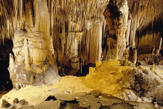 Private Tour: Mallorca Caves of Drach and Majorica Pearl Factory - Real Experiences from Travelers