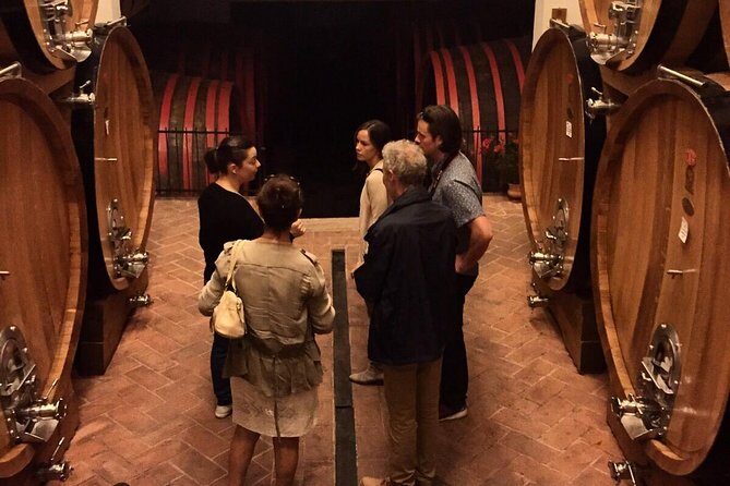 Private Tour: Montalcino Wine Tasting Experience - What Reviewers Say