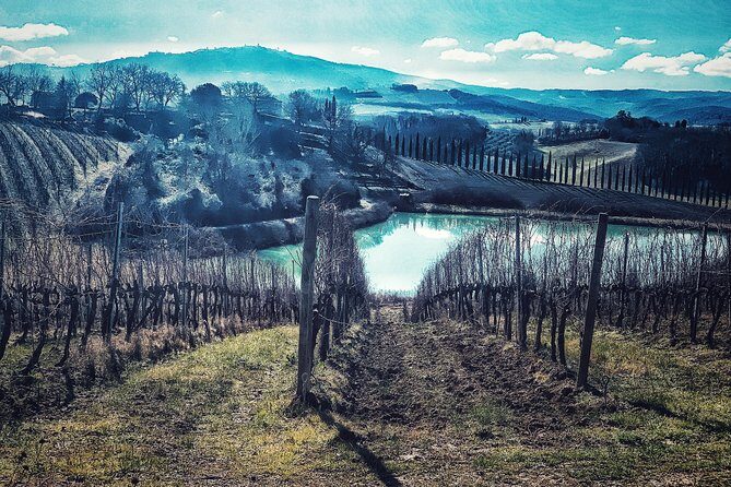 Private Tour: Montalcino Wine Tasting Experience - Who Will Love This Experience?