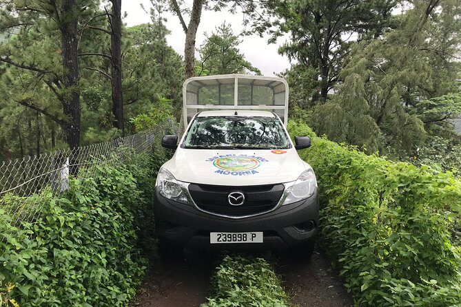 Private Tour Moorea 4WD - Belvedere Pineapple Farm, Magic Mount. - Stop 1: Belvedere Lookout