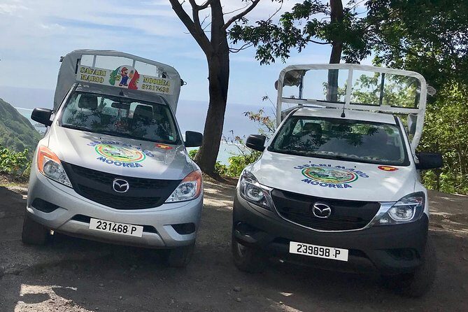 Private Tour Moorea 4WD - Belvedere Pineapple Farm, Magic Mount. - Stop 5: Inside Moorea’s Pineapple Fields