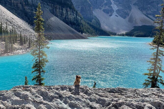 Private Tour Moraine Lake, Louise, Emerald & Johnston Canyon - The Sum Up