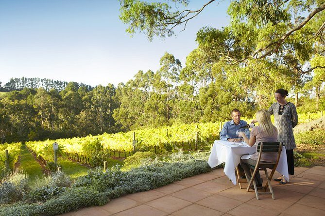 [PRIVATE TOUR] Mornington Peninsula Hot Springs | Winery & Sightseeing Tour - Why This Tour Works for You