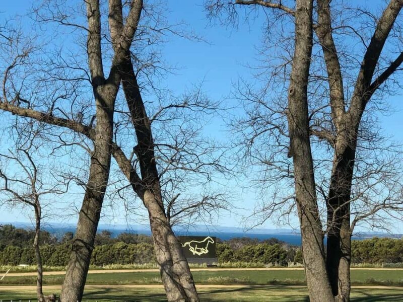 Private Tour: Mornington Peninsula Wine, Beer & Hotsprings - Who Should Book This Tour?