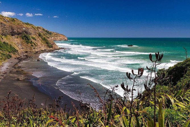 Private Tour - Muriwai Beach & Wine Tasting - Key Points