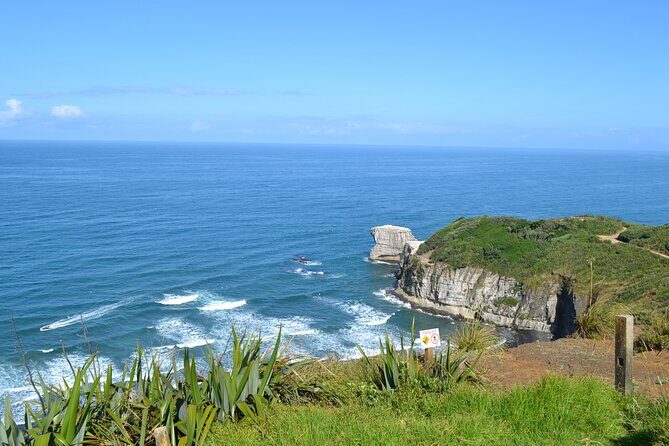 Private Tour - Muriwai Beach & Wine Tasting - Who Is This Tour Best For?