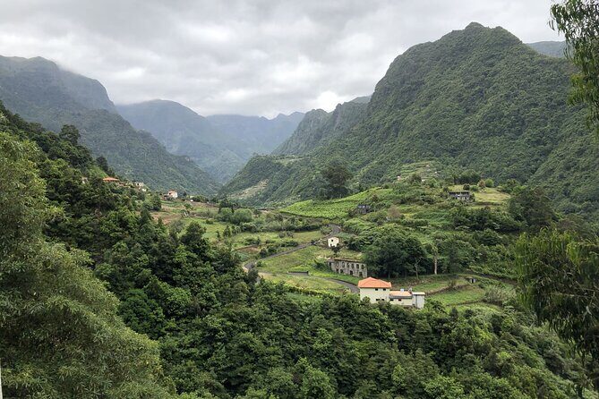 Private Tour North Madeira - The Authentic Experience: Guided Insights & Hidden Gems