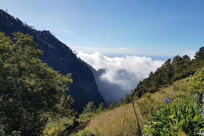 Private Tour Nun's Valley Halfday - Price and Value Analysis