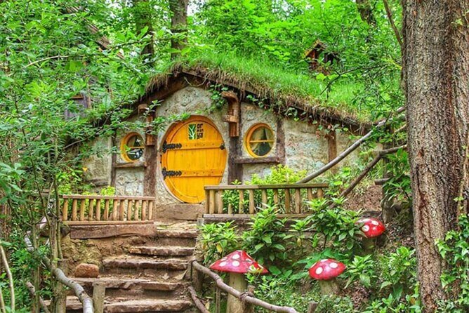 Private Tour of 2 Days 1 Night at Sapanca Lake to Abant - Who Will Appreciate This Tour?