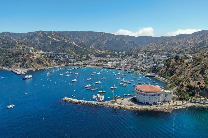 Private Tour of Avalon from Catalina Island - Who Will Benefit Most?