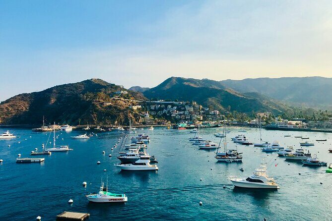 Private Tour of Avalon from Catalina Island - FAQs