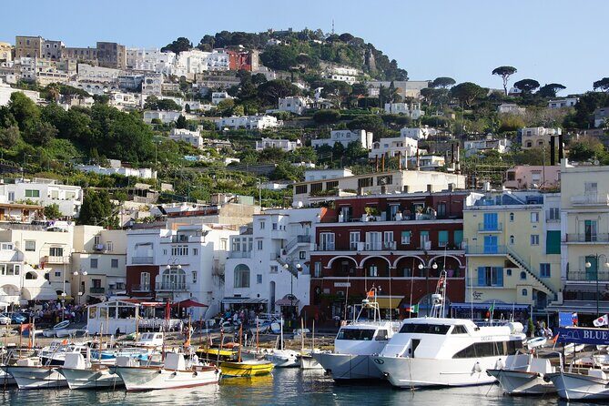 Private tour of Capri & Anacapri with Scenic Shared Boat Ride - A Deep Dive into the Experience
