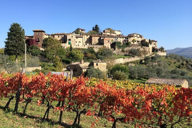 Private Tour of Chianti Siena and San Gimignano by Minivan - Final Thoughts: Who Will Love This Tour?
