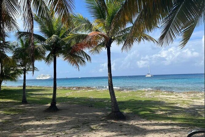 Private Tour of Cozumel in your own way Groups up to 4 People - Practical Details & Traveller Insights