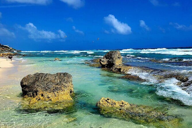 Private Tour of Cozumel in your own way Groups up to 4 People - Who Is This Tour Best Suited For?