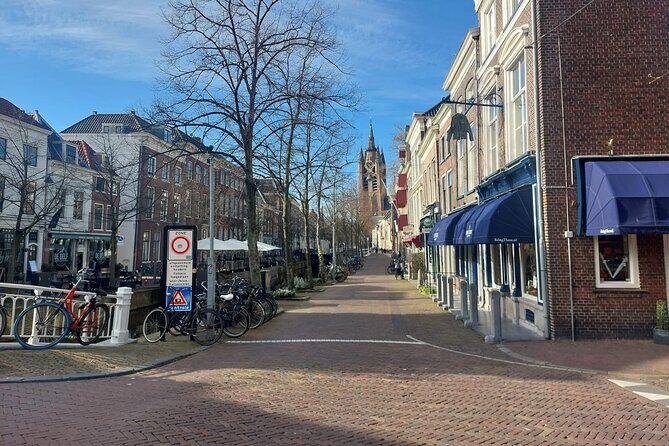 Private Tour of Delft + Visit to Delft Blue Museum & Factory - Practical Details & Experience Quality