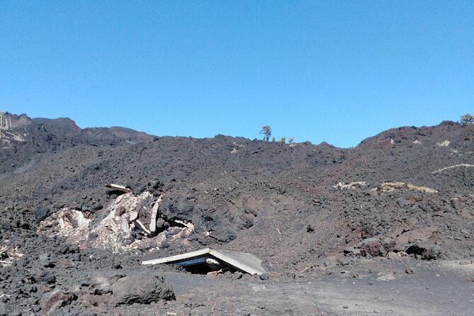 private tour of etna with wine tasting and lunch in the cellar - Key Points
