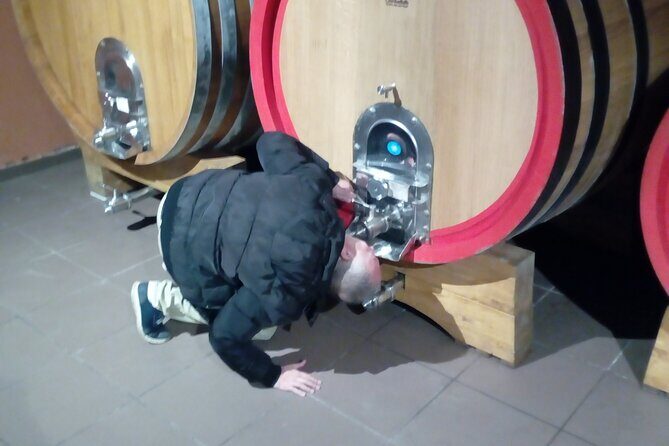 private tour of etna with wine tasting and lunch in the cellar - Authentic Experiences That Stand Out