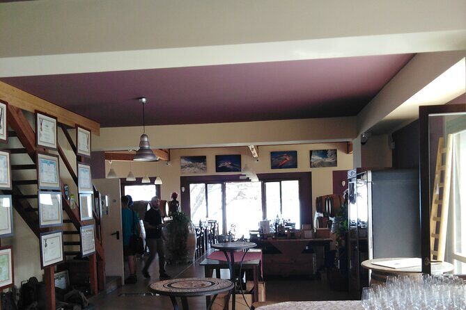 private tour of etna with wine tasting and lunch in the cellar - The Sum Up