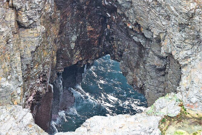 Private tour of Kiama Blowholes, Sea Cliff Bridge and Wattamolla - Introduction